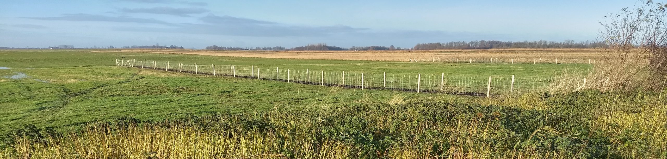 Struweel in het agrarisch landschap